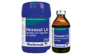 Veterinary Pharmaceutical Products | Norbrook Laboratories