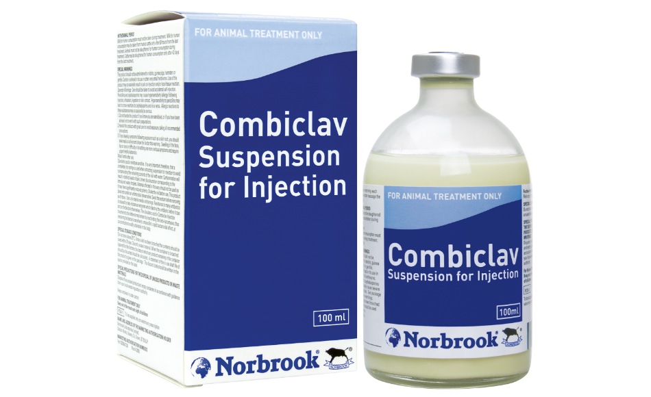 Combiclav Injection | Norbrook Laboratories