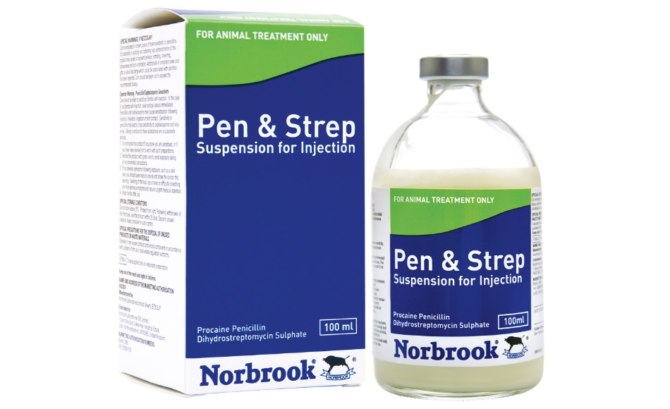 Pen and Strep Injection | Norbrook