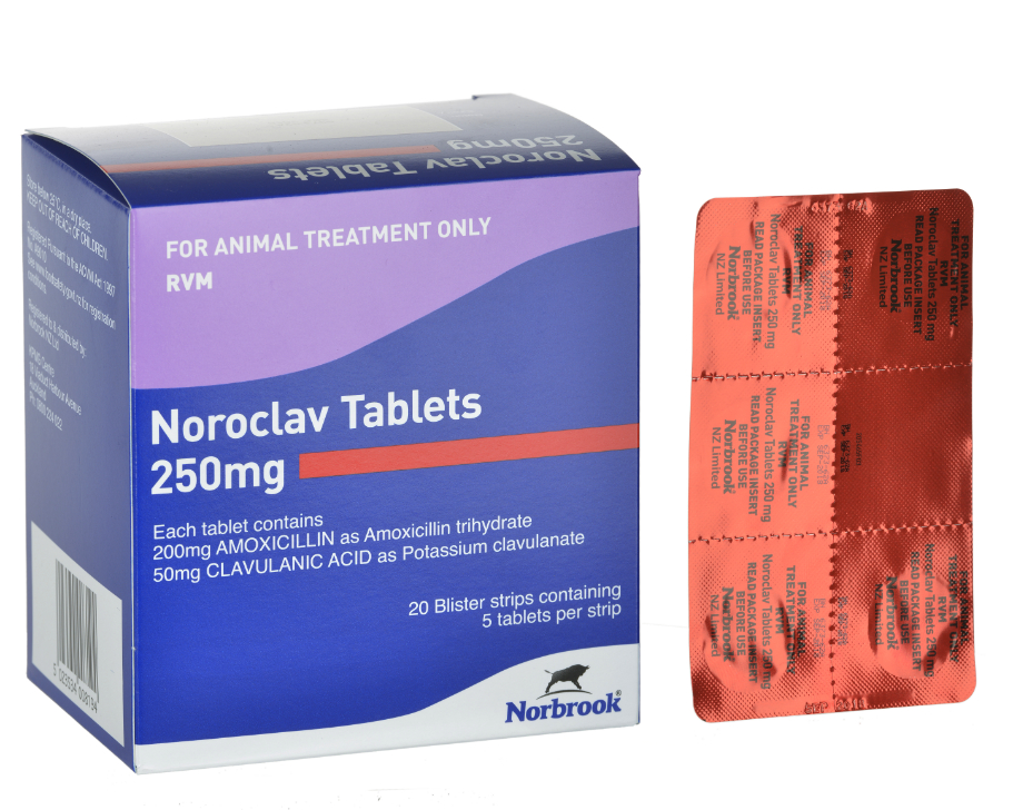 Noroclav Tablets 50mg and 250mg | Norbrook