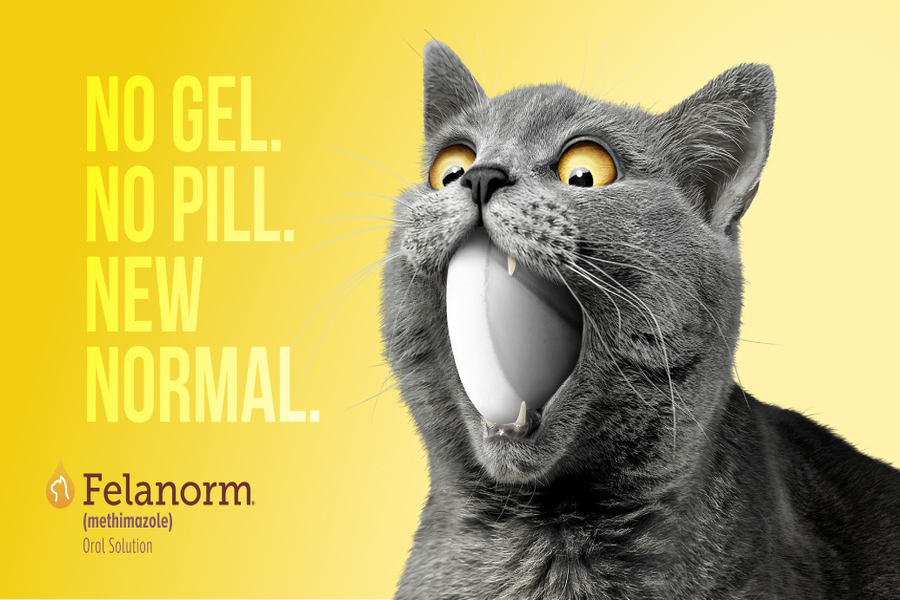 Norbrook Launches Felanorm® (methimazole) Oral Solution