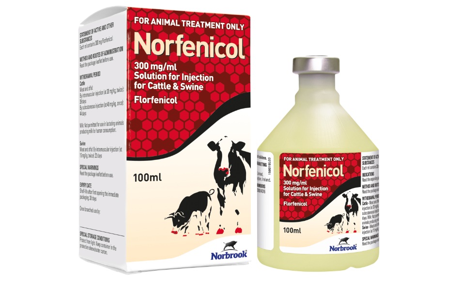 Norfenicol Injection | Norbrook Laboratories