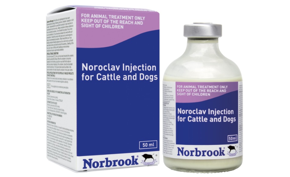 Noroclav Injection| Norbrook Laboratories