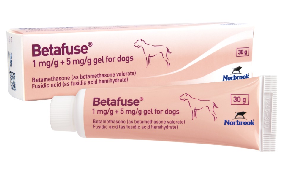 Betafuse Gel For Dogs | Norbrook