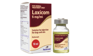 Veterinary Pharmaceutical Products | Norbrook Laboratories