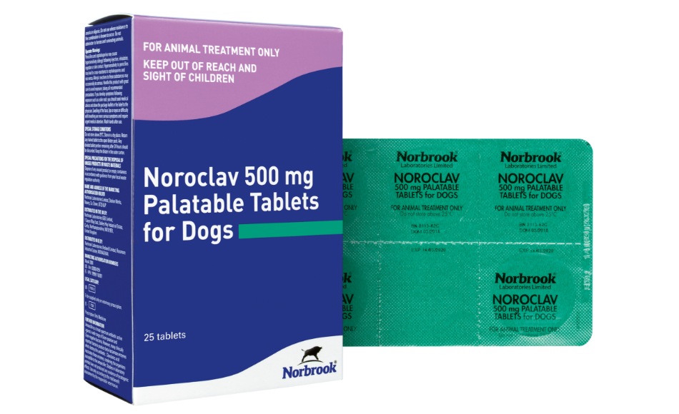 Noroclav Tablets | Norbrook
