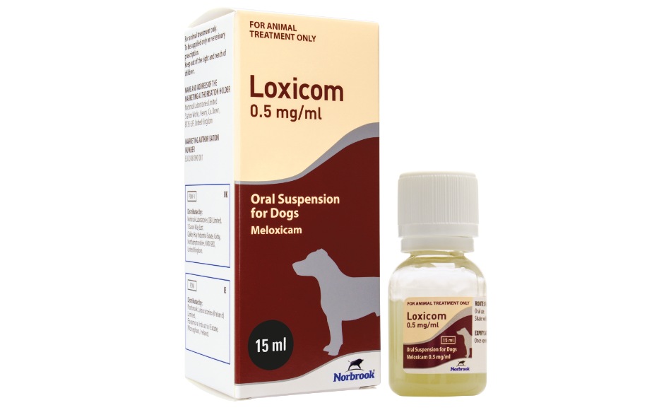 Loxicom 0.5mg/ml Oral Suspension Dogs | Norbrook