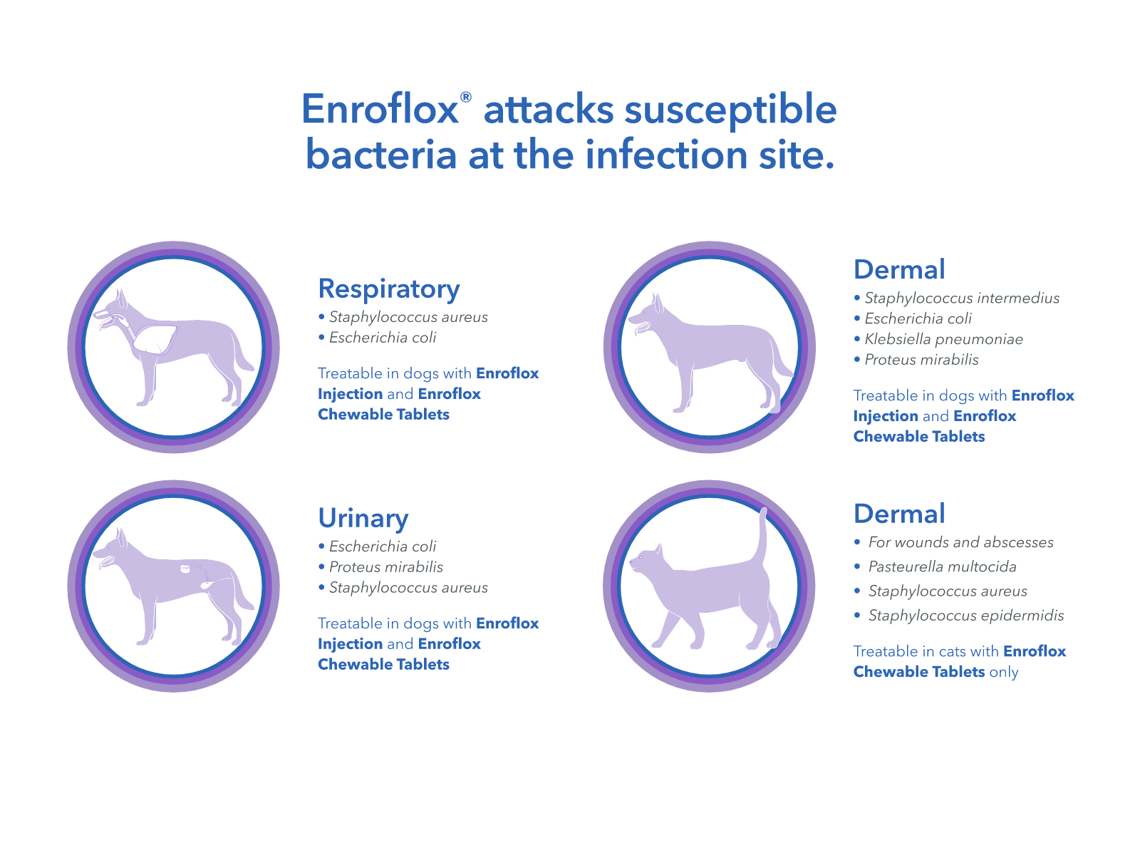 Enroflox® Chewable Tablets