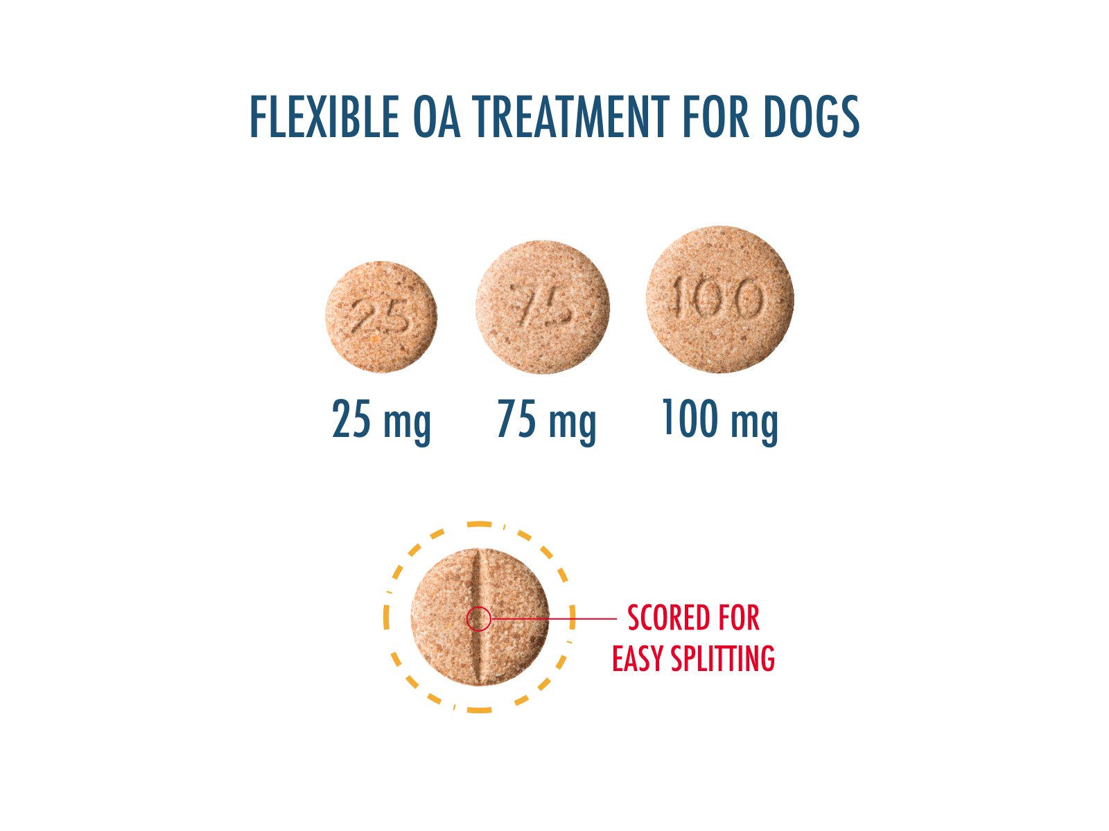 Carprieve® (carprofen) Chewable Tablets | Norbrook