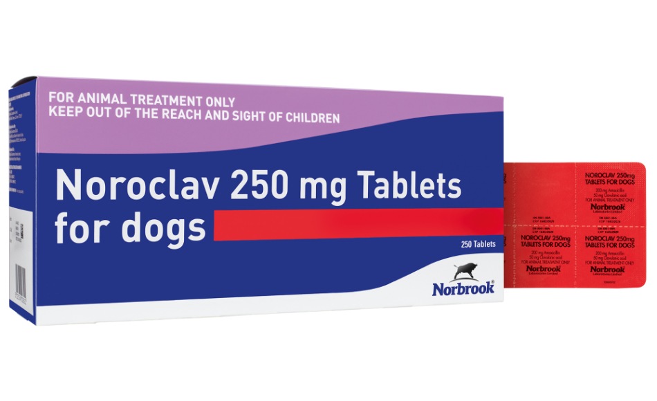 Noroclav Tablets | Norbrook