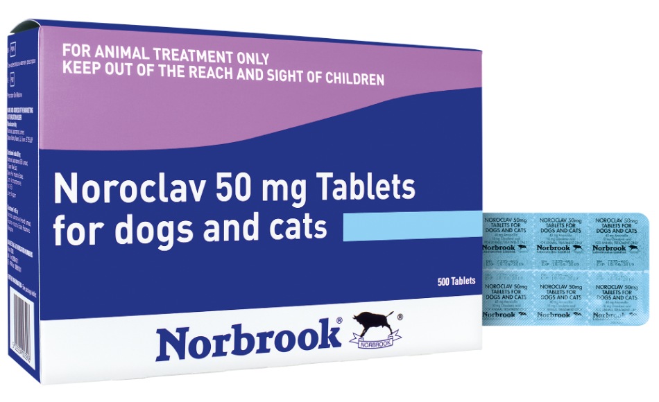 Noroclav Tablets | Norbrook Laboratories