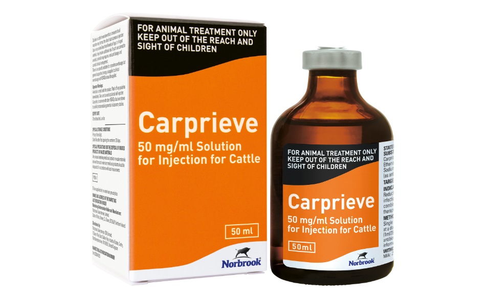 Carprieve Injection for Cattle | Norbrook