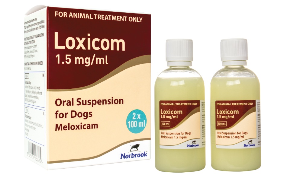 Loxicom 1.5mg/ml Oral Suspension Dogs | Norbrook