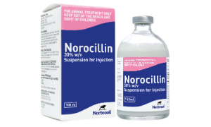 Veterinary Pharmaceutical Products | Norbrook Laboratories