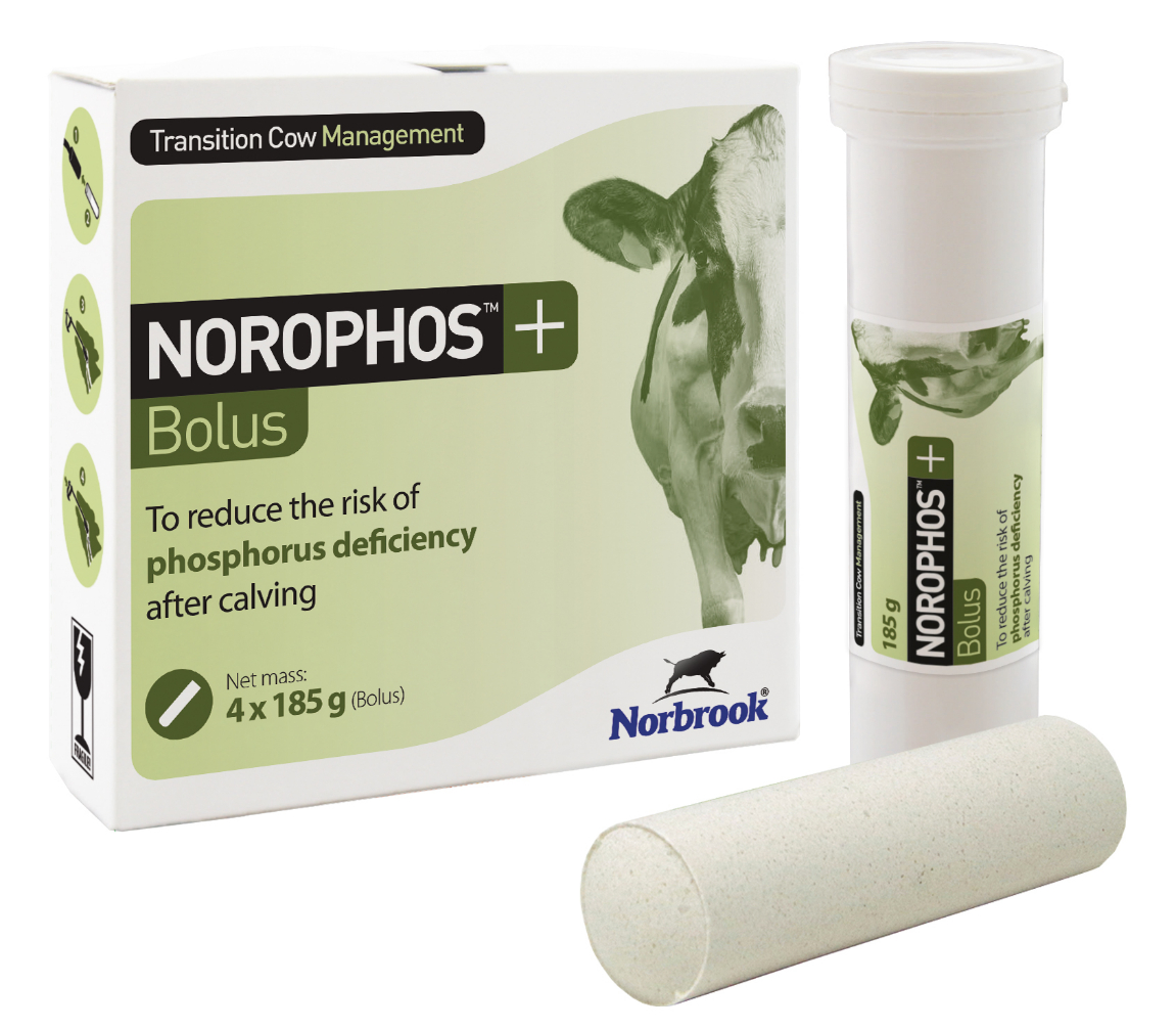 Veterinary Pharmaceutical Products | Norbrook Laboratories