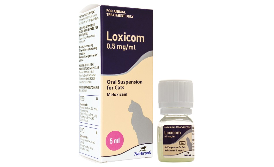 Loxicom Oral Suspension Cats | Norbrook