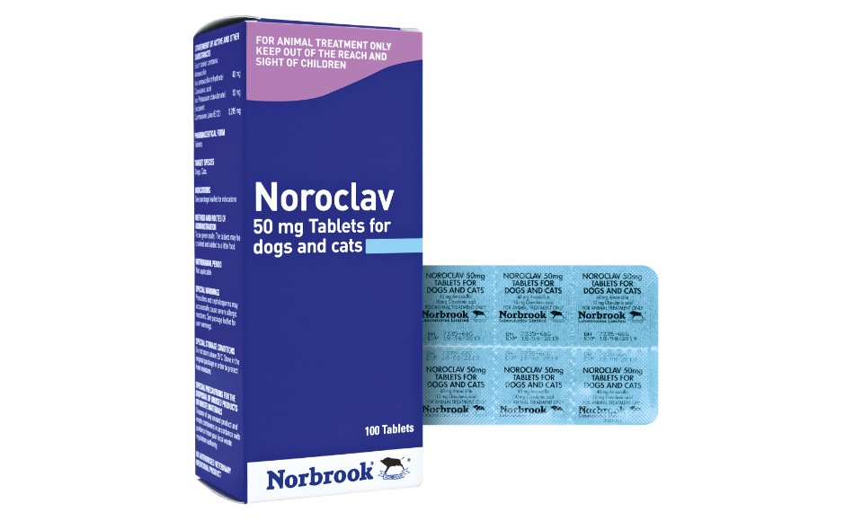 Noroclav Tablets | Norbrook