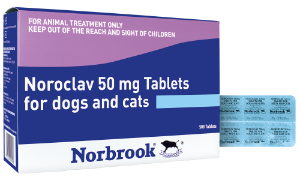 Veterinary Pharmaceutical Products | Norbrook Laboratories