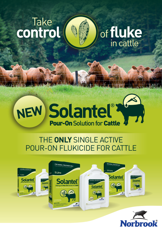 Resources | Norbrook Laboratories