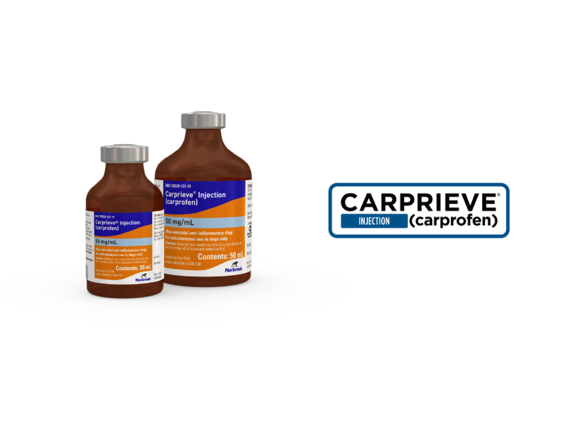 Carprieve® Injection | Norbrook Laboratories