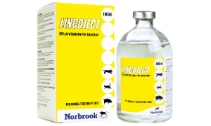 Veterinary Pharmaceutical Products | Norbrook Laboratories