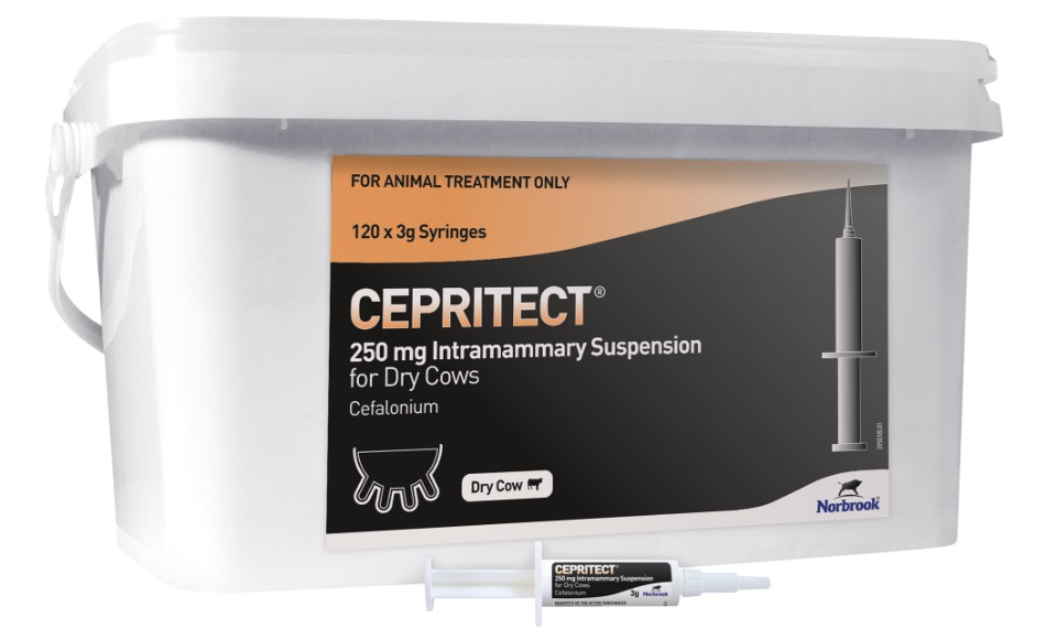 Cepritect Intramammary Suspension | Norbrook Laboratories
